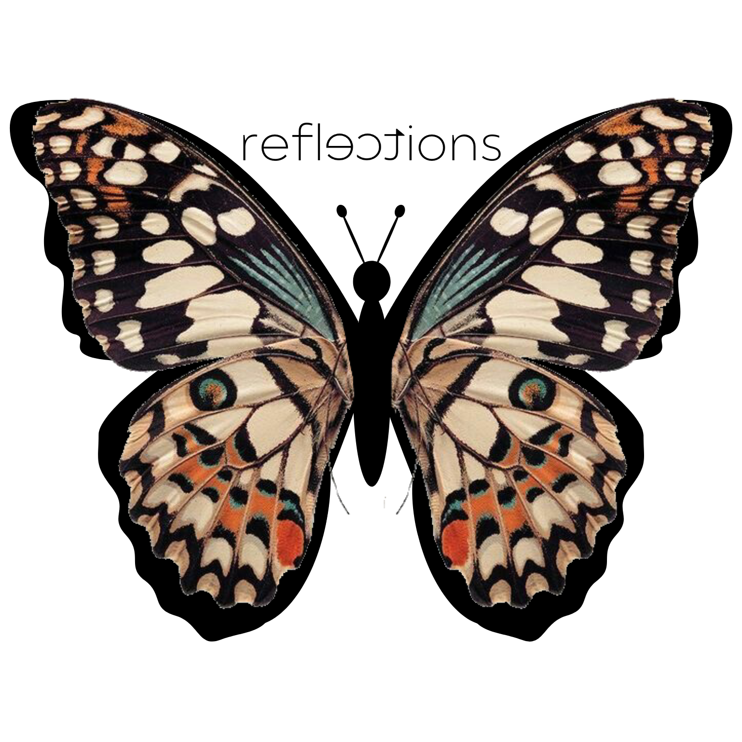 The Reflections Collection